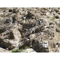 ReidBar™ Soil & Rock Anchoring